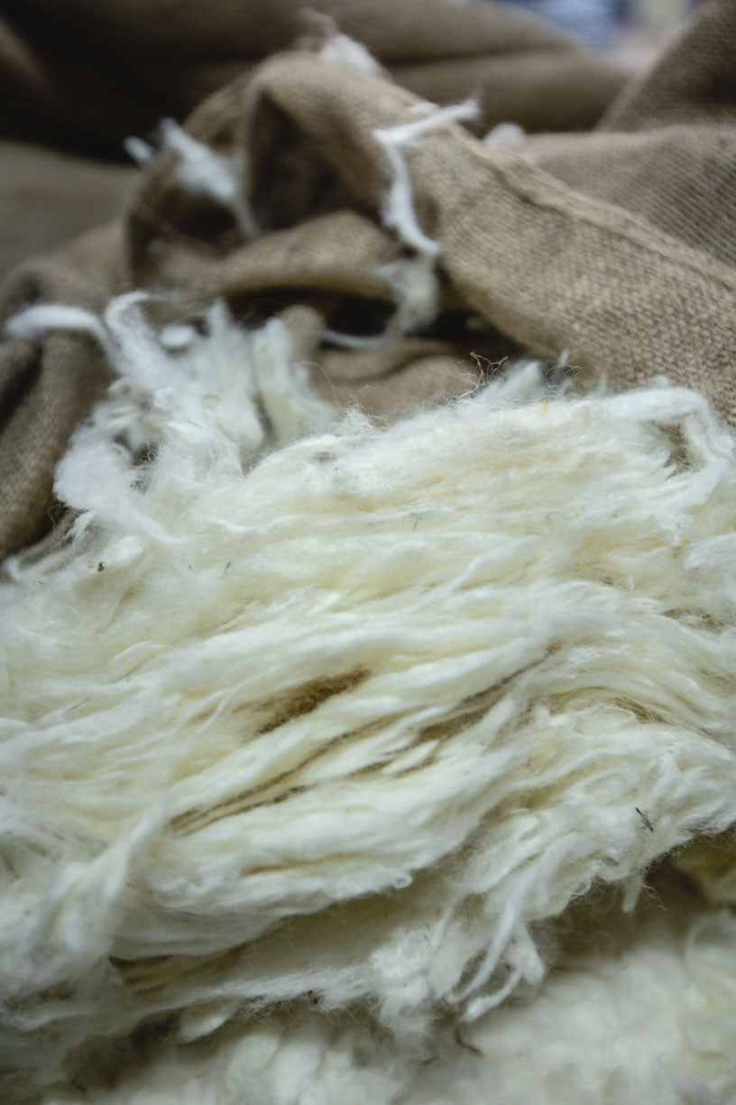 Gottstein - Robert W. Stolz